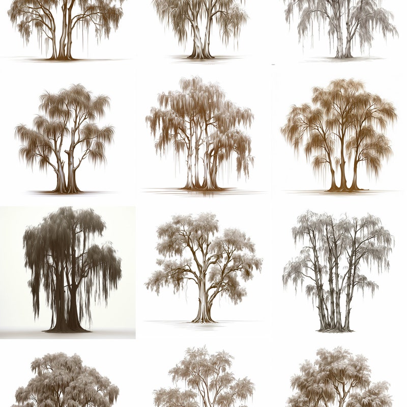 Willow Tree Design - Etsy
