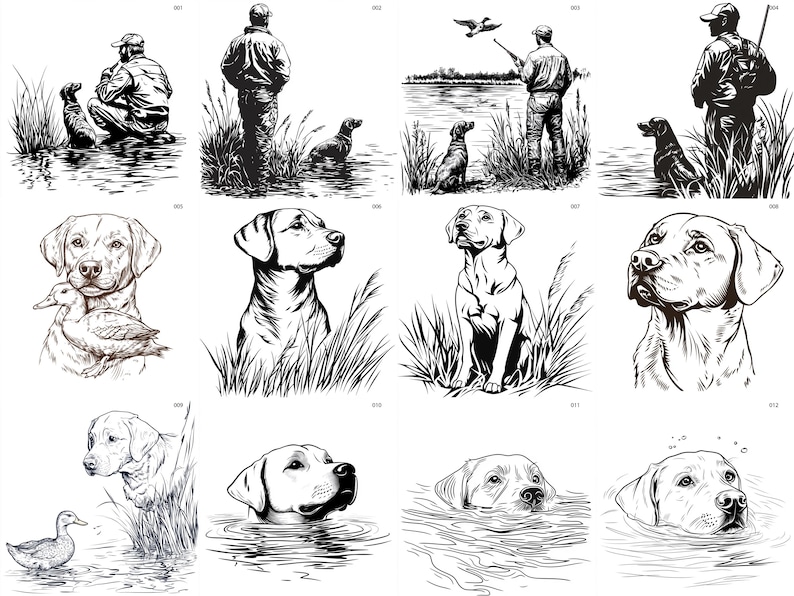 Hunting Labrador Dog SVG PNG Collection for Laser Cricut CNC T-shirts ...