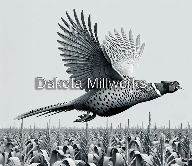 3 Ringneck Pheasant 3d Stl And Depth Map Images Ideal For Cnc Carving 3d Printing Hunters And
