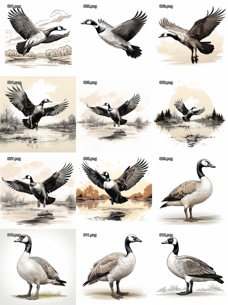 Canada Goose Svg & Png Collection Wildlife Clip Art Set for Laser ...