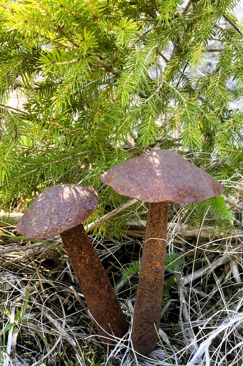 Rustic Metal Mushrooms Set of 2 unique Handmade Rusty Outdoor Garden ...