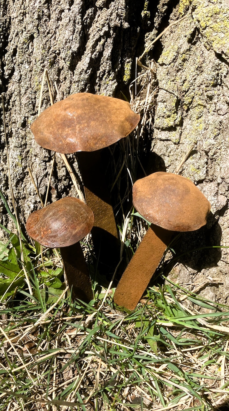 Rustic Metal Mushroom Set – Handmade Garden Art Sculpture - Etsy