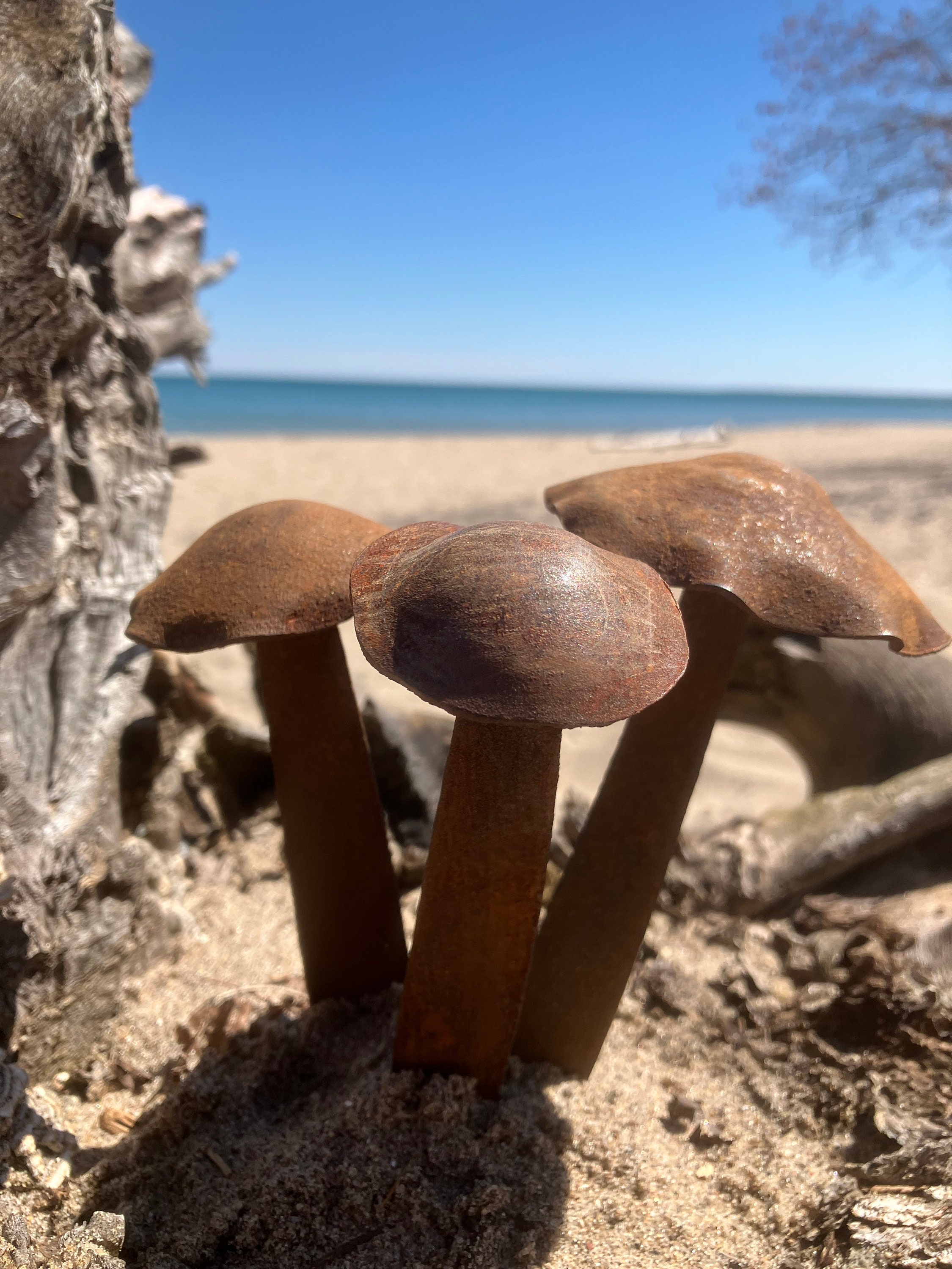 Rustic Metal Mushroom Set – Handmade Garden Art Sculpture - Etsy