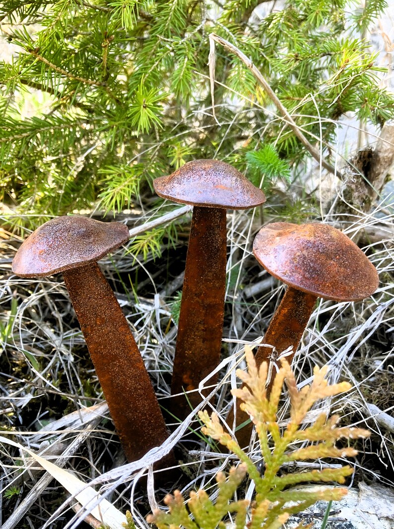 Rustic Metal Mushroom Set: Handmade Garden Art Sculpture - Etsy