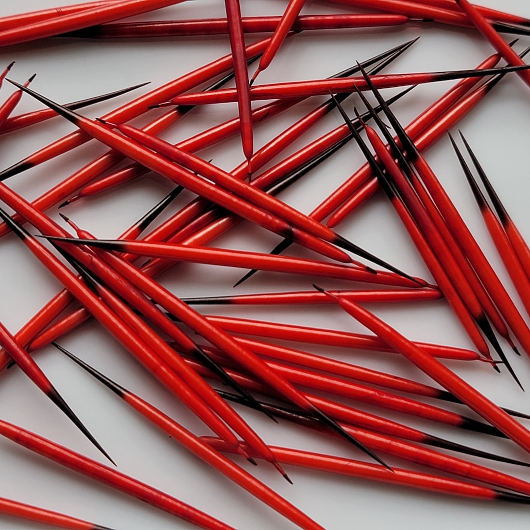 Dyed North American Porcupine Quills - Medium, Red (25/50 Quills) - Etsy