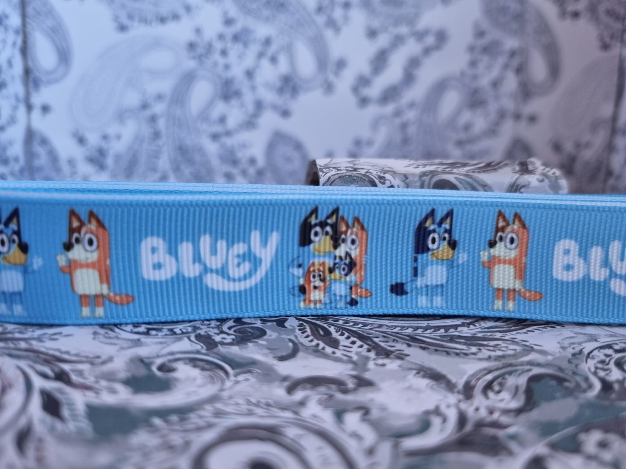 Bluey Hair Accessory Set - Etsy