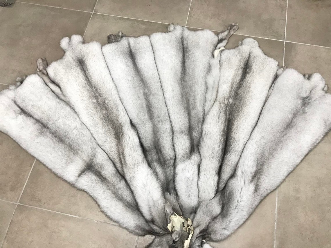 Genuine Blue Fox Skin/pelt, Natural Fox Skin,real Fur, - Etsy