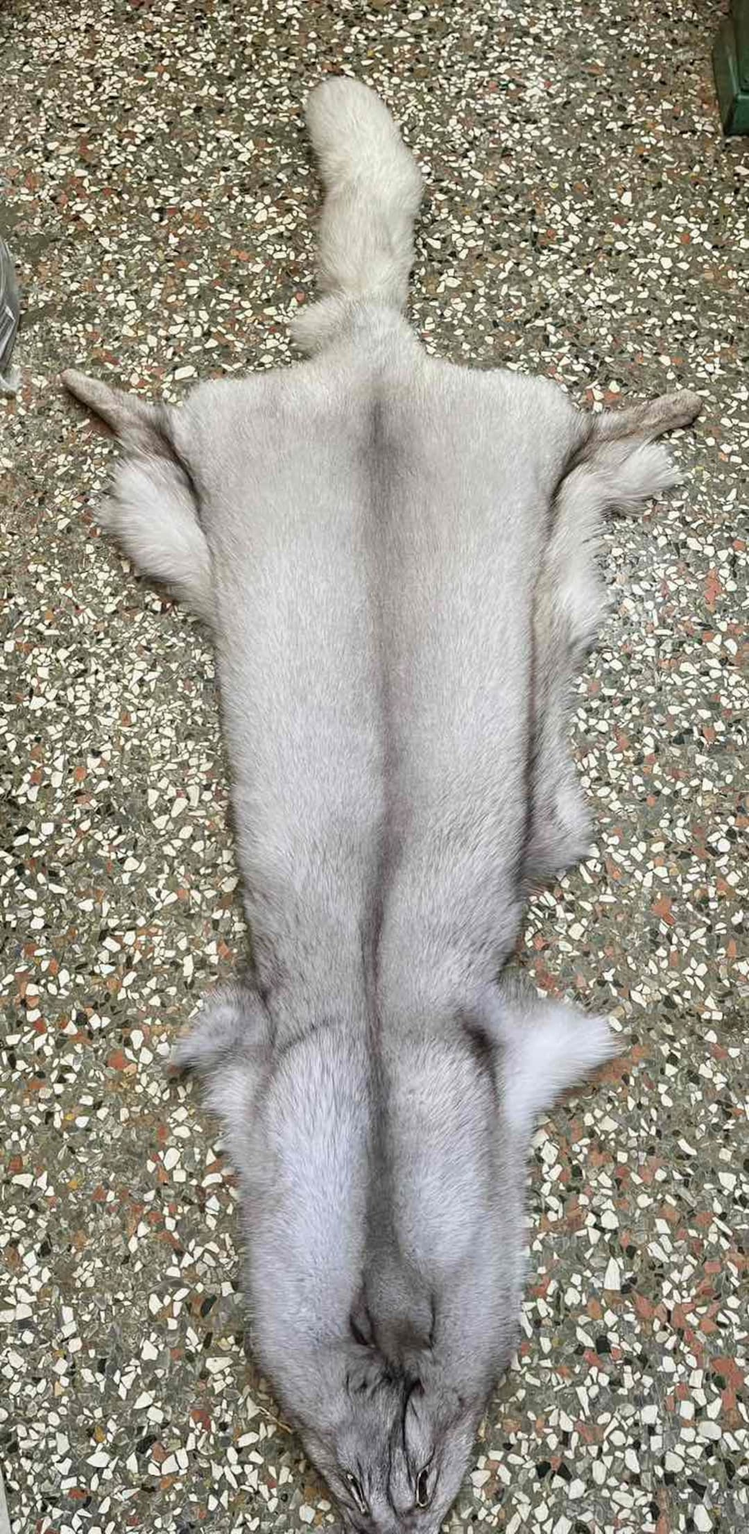 Genuine Blue Fox XXL Fox Pelts, Scandinavian Fur Skins/pelts, Luxury ...