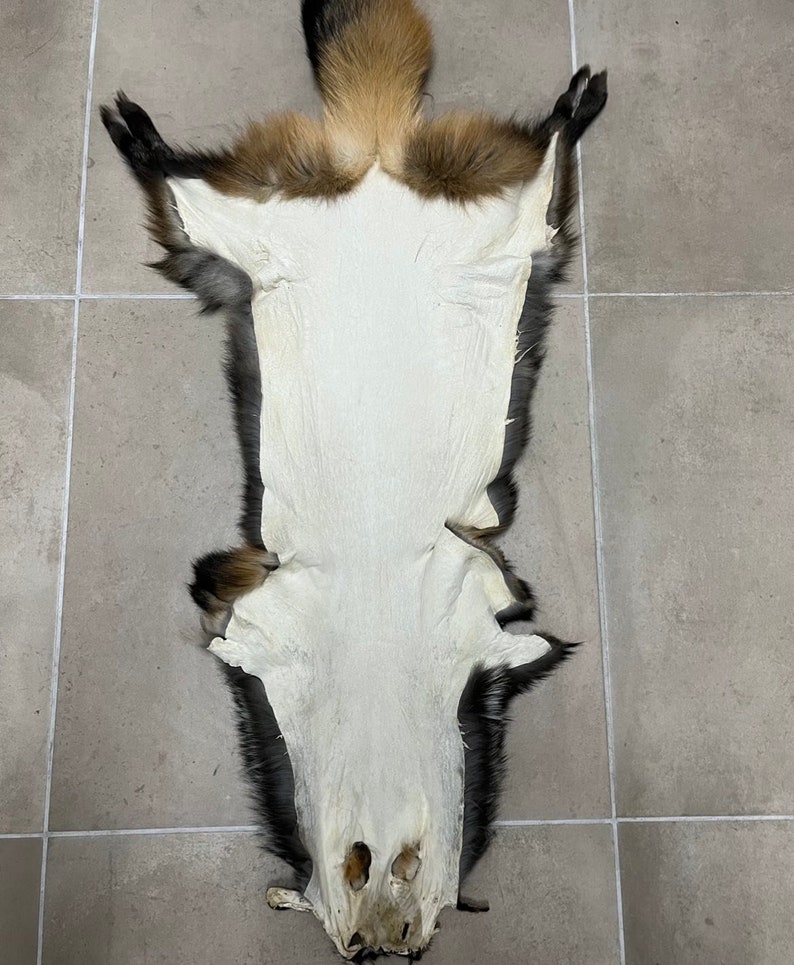 Fire Gold Cross Fox Fur Skins/pelts, Scandinavian Fur Skins, Real Furs ...