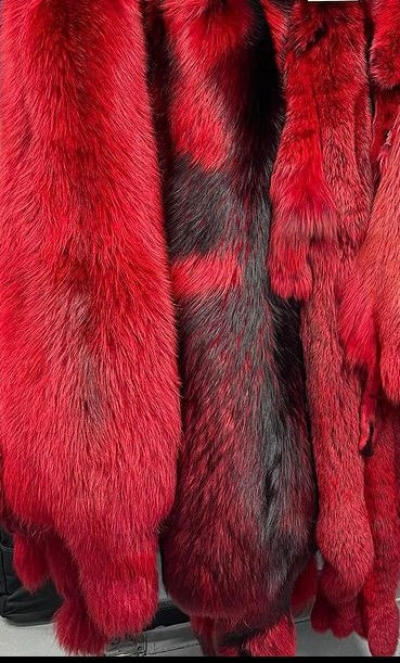 Dyed Red Silver Fox Fur Skins/pelts, Fur Hood, Fur Collar - Etsy