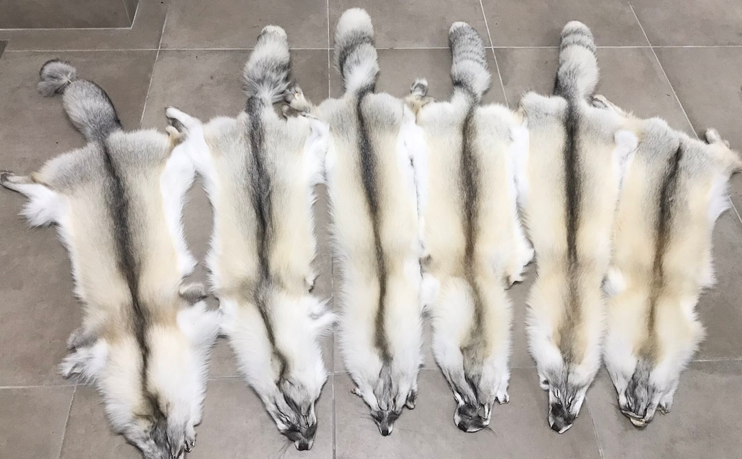 Fawn Light Fur Fox Skin/pelt, Luxury Fur Skins, Fox Skin Wallhanger,fur ...