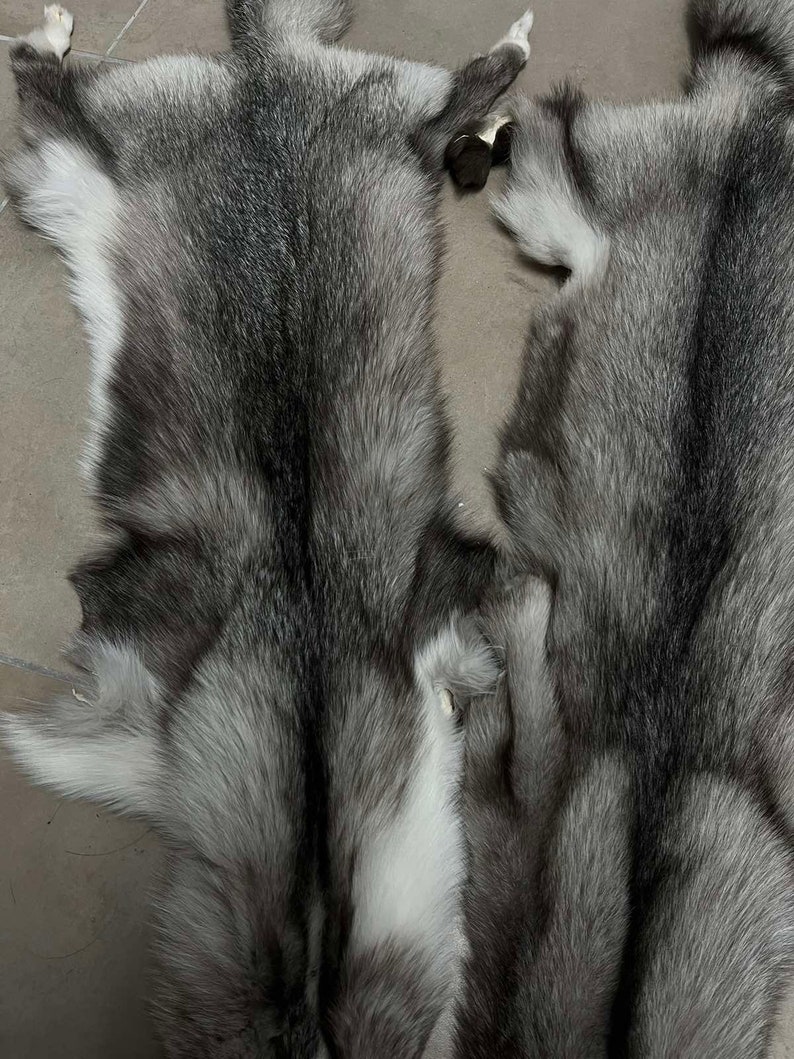 Alaska Fur Fox Skins/pelts, Real Fur,top Quality Fur Skins ...