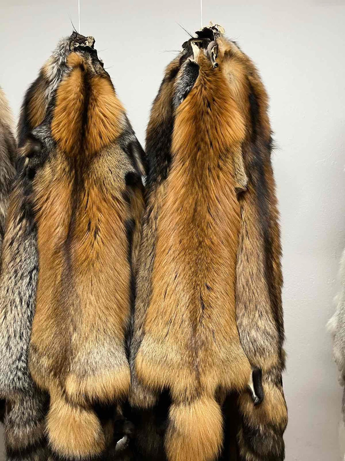 Fire Gold Cross Fox Fur Skins/pelts Scandinavian Fur Skins - Etsy