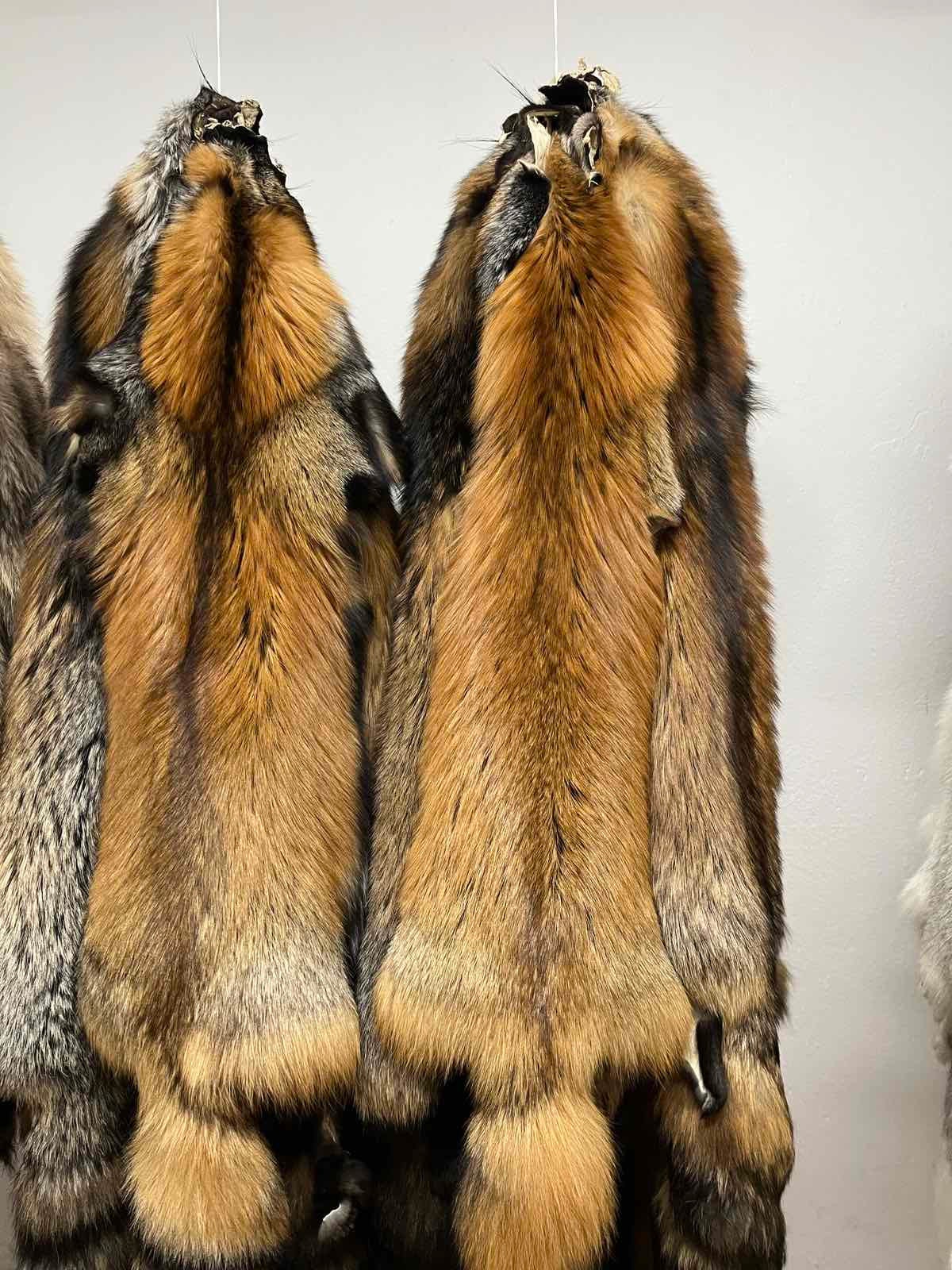 Fire Gold Cross Fox Fur Skins/pelts, Scandinavian Fur Skins, Real Furs ...