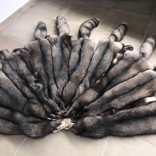 Fox Skins Wallhanger - Etsy