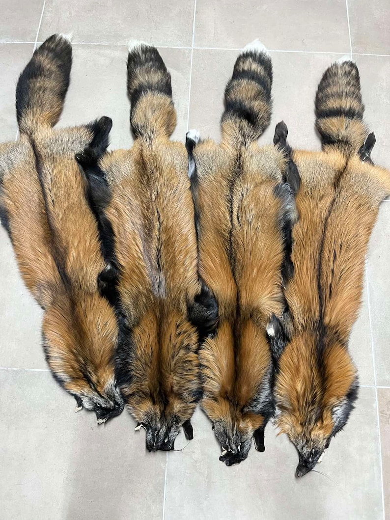 Fire Gold Cross Fox Fur Skins/pelts, Scandinavian Fur Skins, Real Furs ...