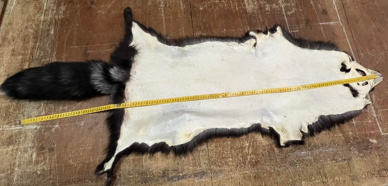Genuine Silver Fox Fur Skin/pelt, Real Fur Skin, Scandinavian Fox Skins ...