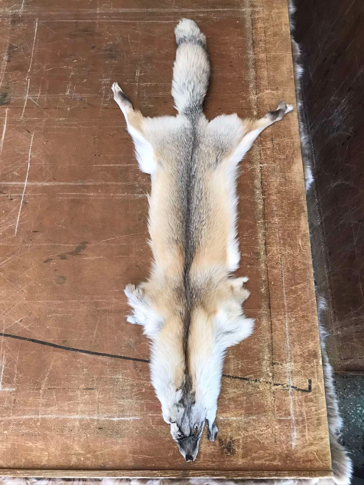 Golden Island Fox Skin/pelt Real Fur fox Pelt - Etsy