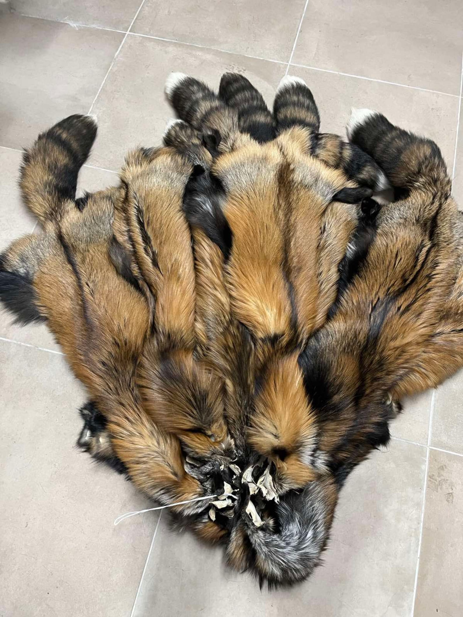 Fire Gold Cross Fox Fur Skins/pelts, Scandinavian Fur Skins, Real Furs ...