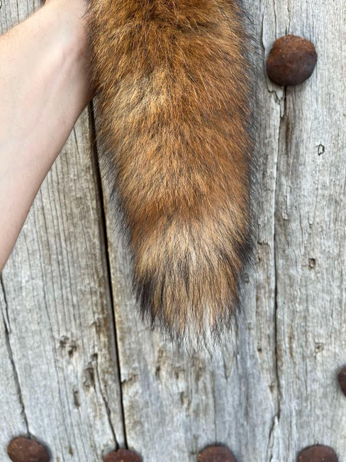 XXL Luxury RED CANADIAN Fox Tail,fluffy Tail,fur Cosplay Hide Tail - Etsy