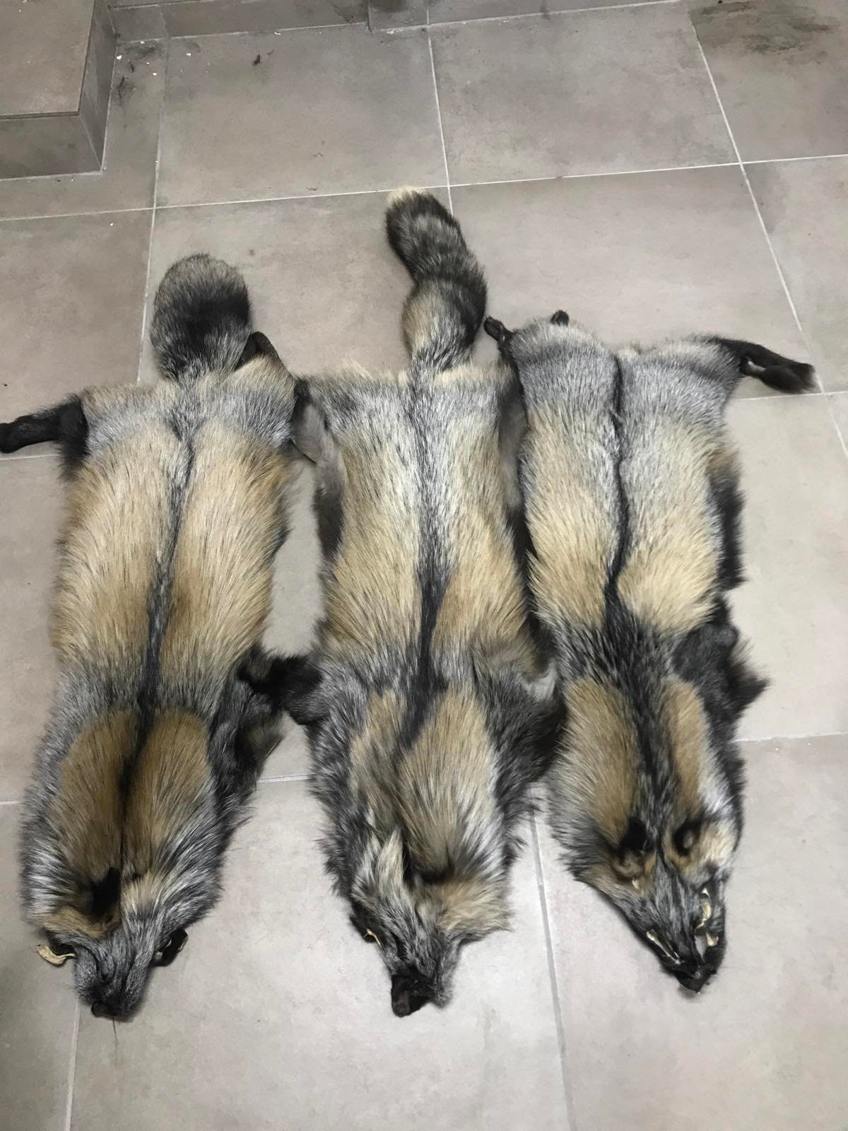 Gold Cross Fox Fur Skins/pelts, Fur Coat, Fur Blanket,fur Mutations - Etsy