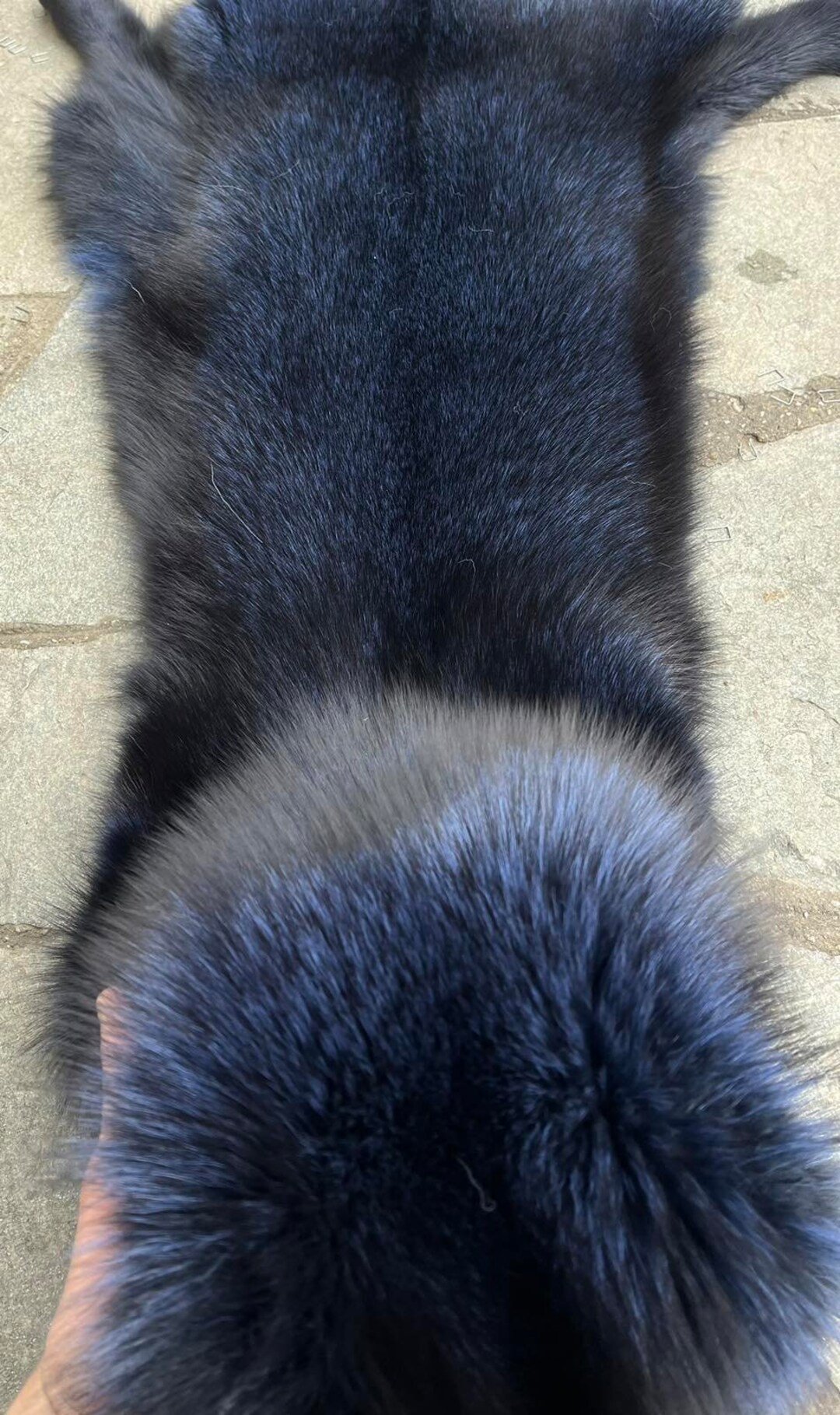 Dyed Navy Blue Frost Skin/pelt, Real Fur,real Fox Fur,animal Pelt,fur ...