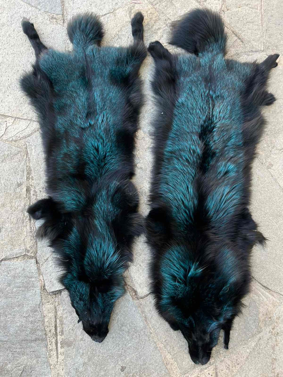 Dyed Dark Green Silver Fox Skins/pelts - Etsy