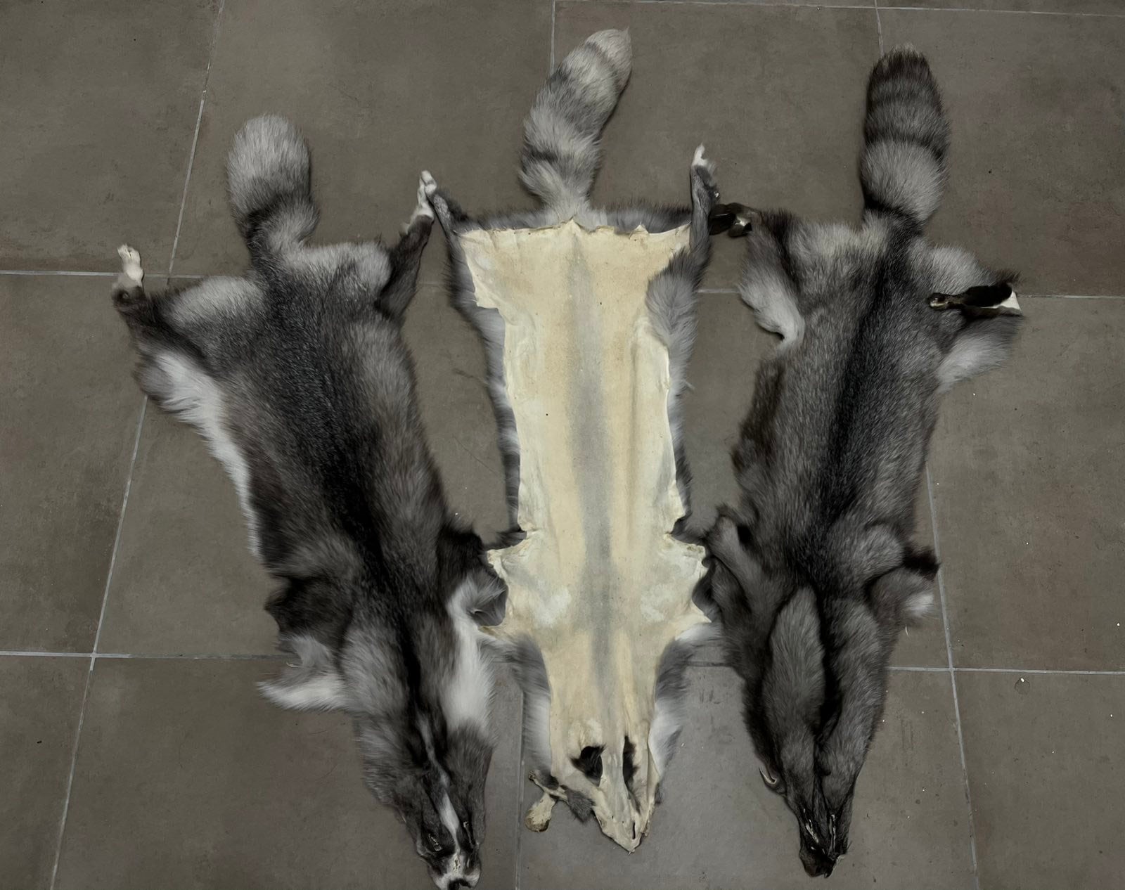 Alaska Fur Fox Skins/pelts, Real Fur,top Quality Fur Skins ...