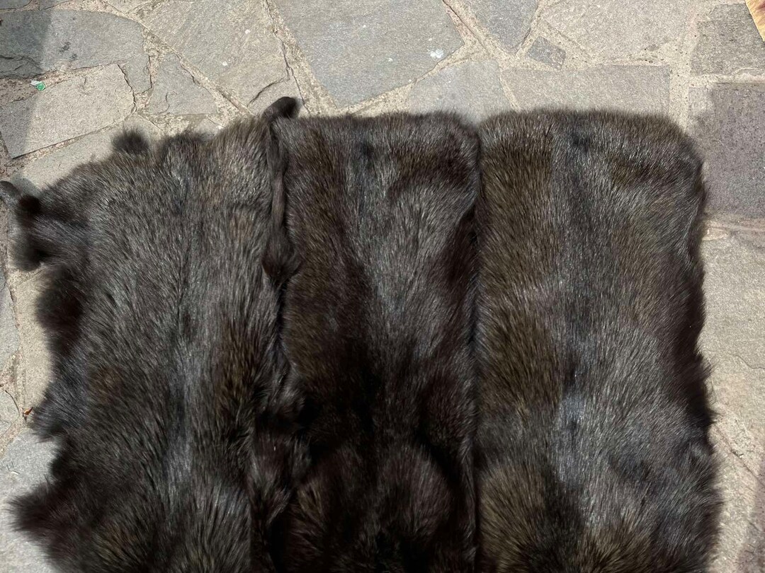 Dyed Fox Fisher Color Skins/pelts, Scandinavian Fur,luxury Quality - Etsy