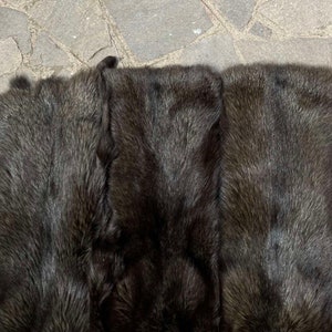Dyed Fox Fisher Color Skins/pelts, Scandinavian Fur,luxury Quality - Etsy