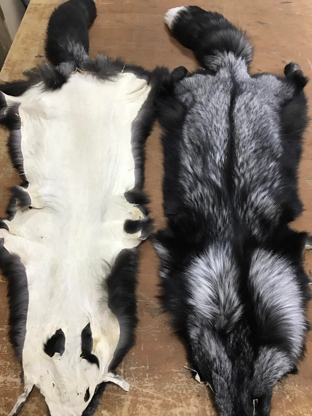 Silver Fox Fur Skin/pelt Real Fur Skin | Etsy