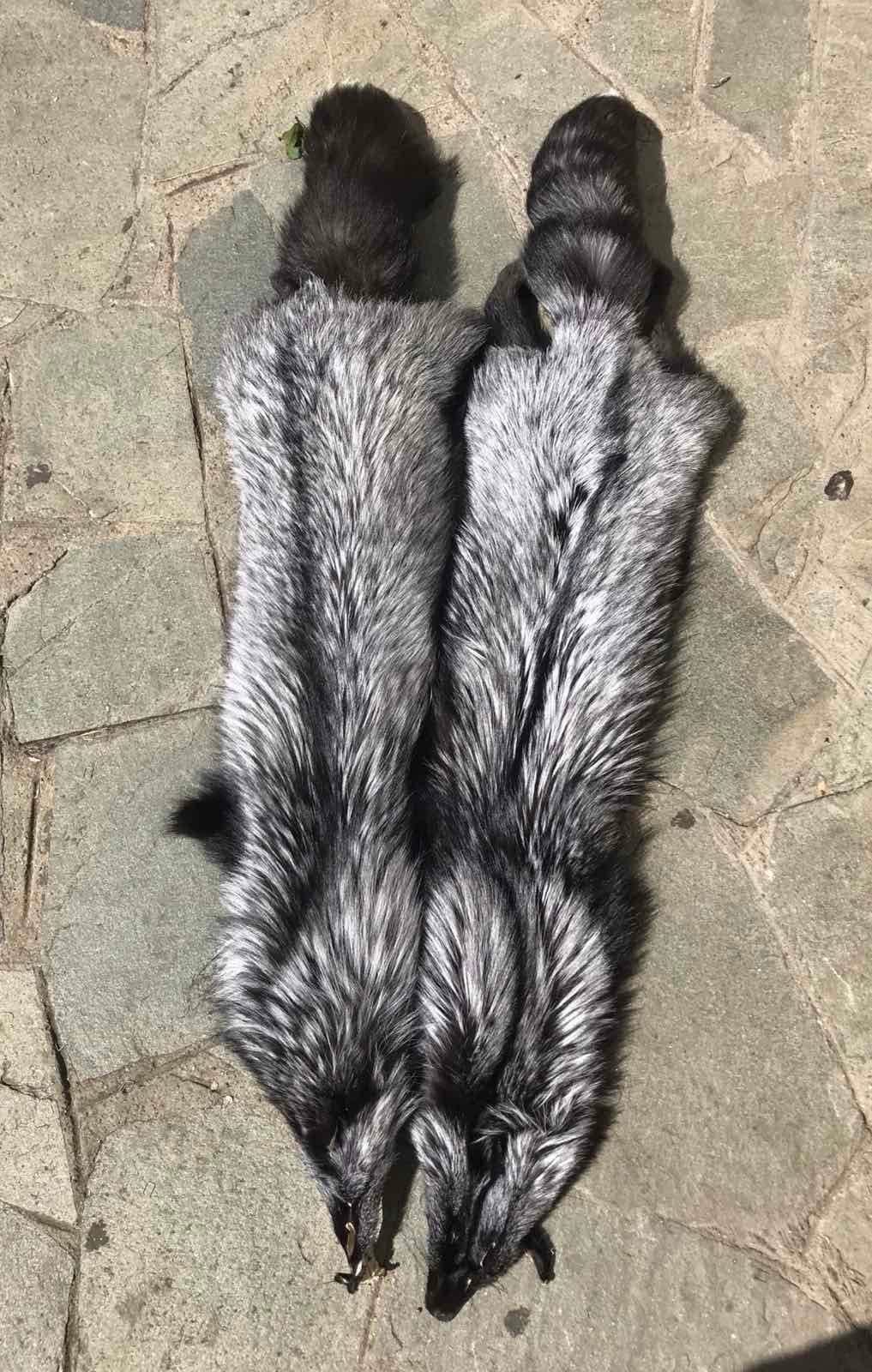 Genuine Silver Fox Fur Skin/pelt, Real Fur Skin, Scandinavian Fox Skins ...