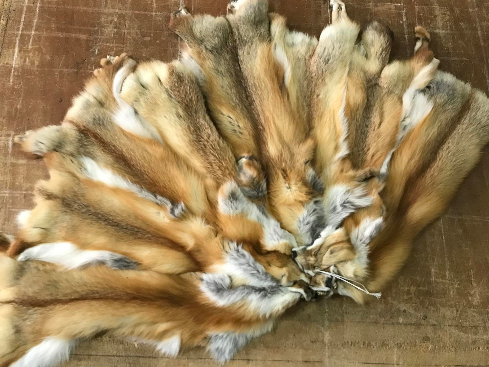 Canadian Red Fur Fox Pelts/skins, Fur Coats, Fur Blanket - Etsy