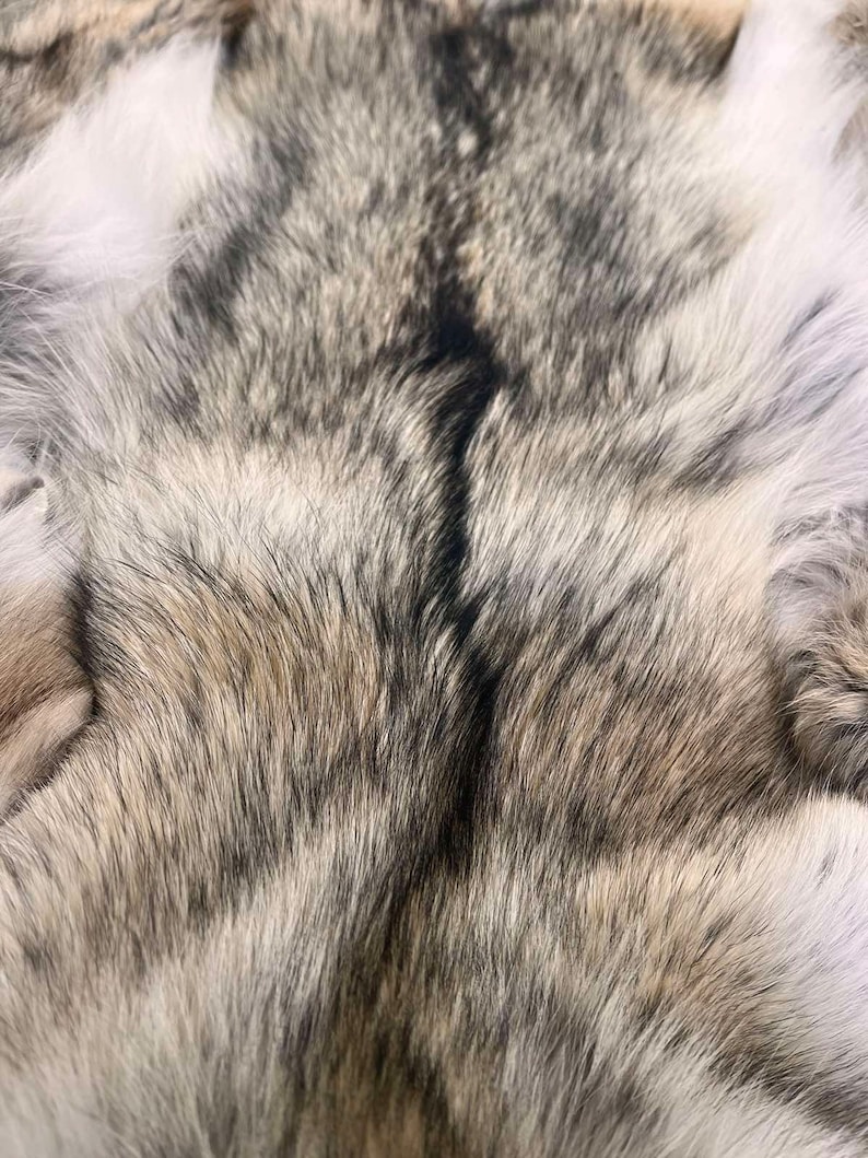 Coyote Fur Skins/pelts, Luxury Quality Fur - Etsy