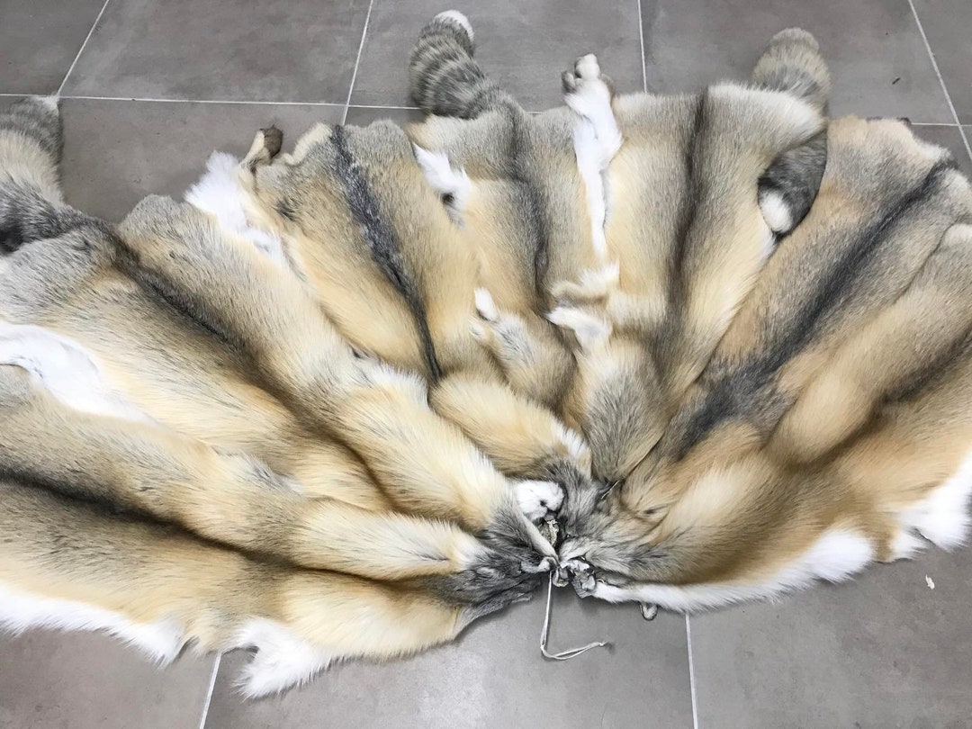 Golden Island Fox Skin/pelt, Real Fur ,fox Pelt , - Etsy
