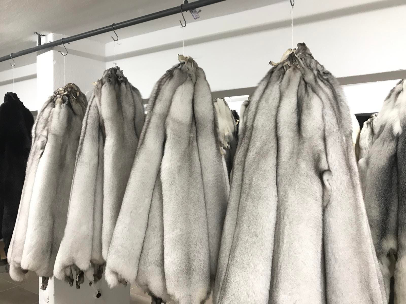 Genuine Blue Fox Skin/pelt, Natural Fox Skin,real Fur, - Etsy