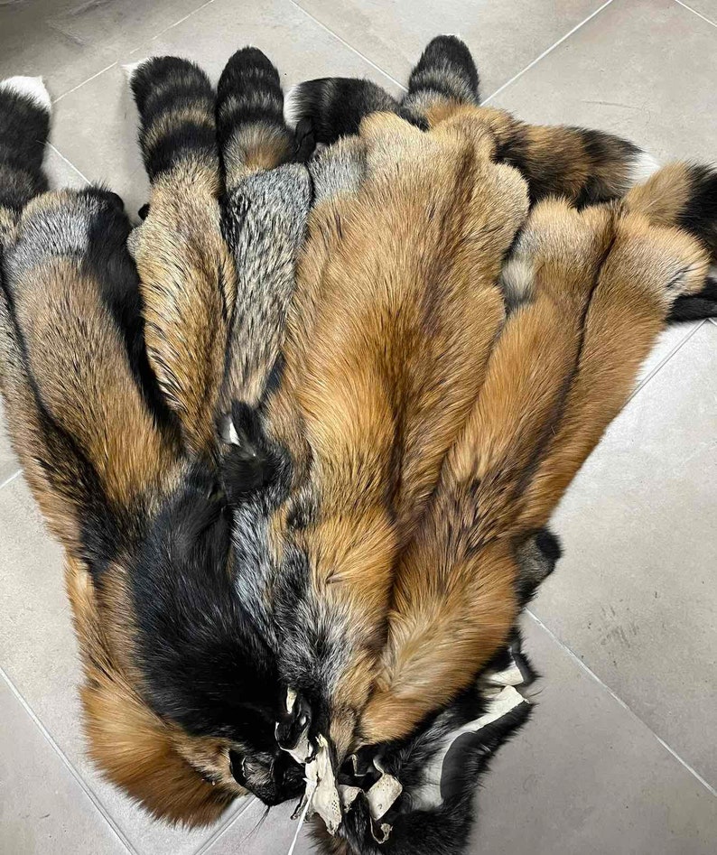 Fire Gold Cross Fox Fur Skins/pelts Scandinavian Fur Skins - Etsy