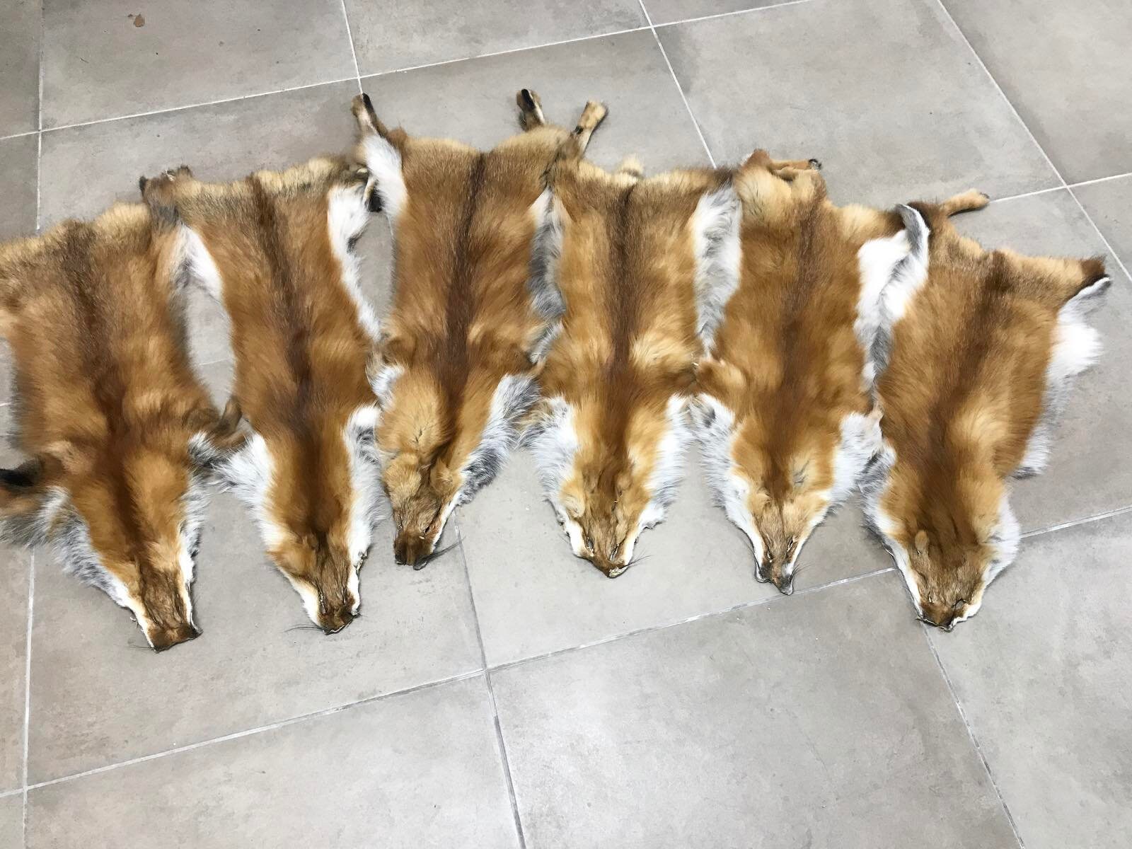 Canadian Red Fur Fox Pelts/skins, Fur Coats, Fur Blanket - Etsy
