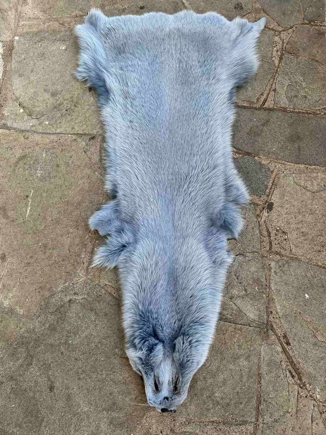 Dyed Sky Blue Fur Fox Pelts/skins, Scandinavian Fur,top Quality - Etsy
