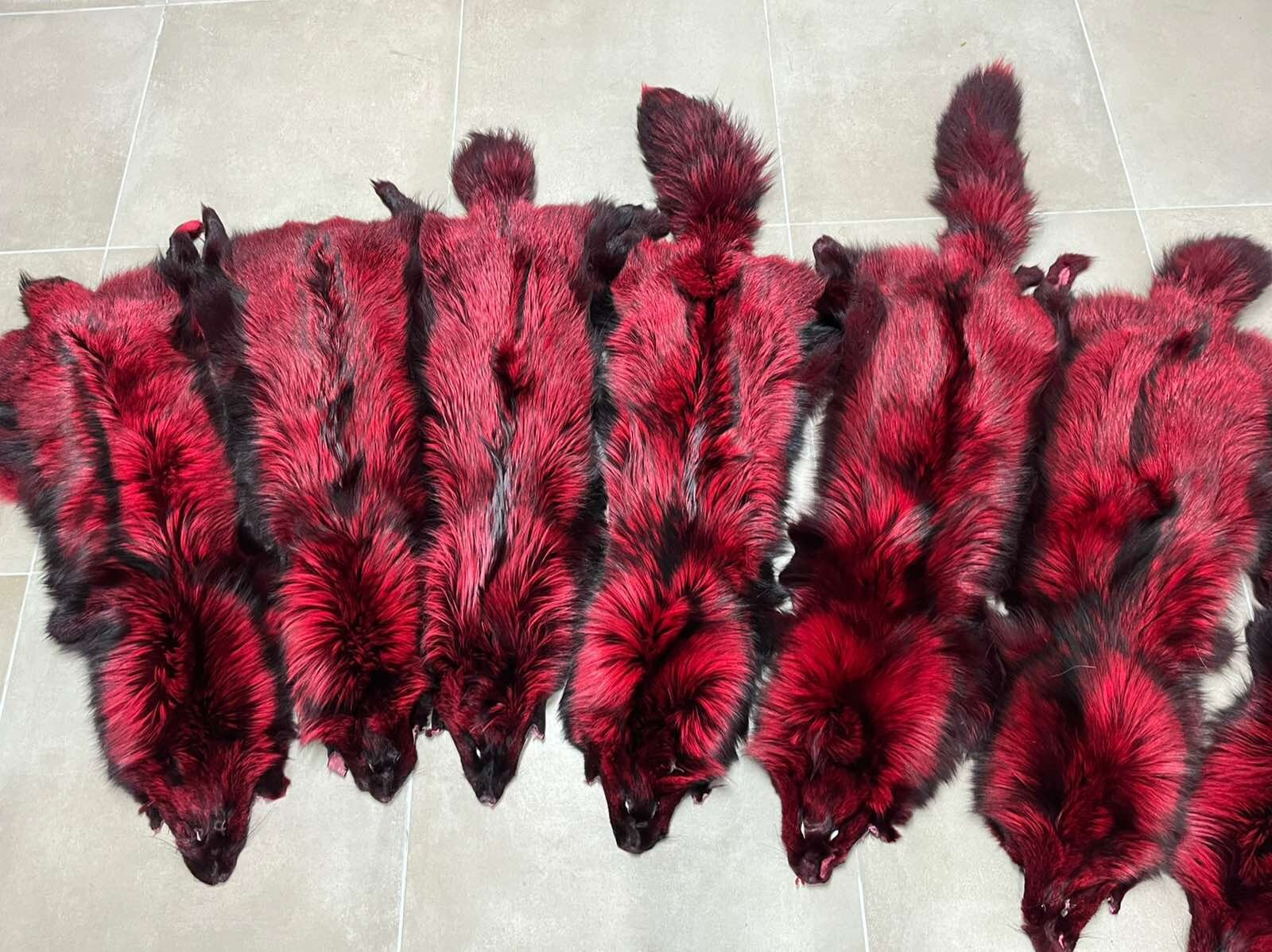 Dyed Red Silver Fox Fur Skins/pelts, Fur Hood, Fur Collar - Etsy