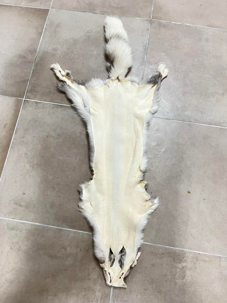 Platinum Fox Skin/pelt, Real Fur Skin,platinum Pelt, Scandinavian Fur ...