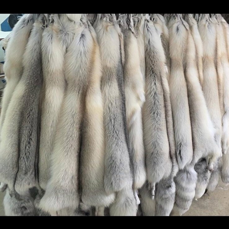 Fawn Light Fur Fox Skin/pelt, Luxury Fur Skins, Fox Skin Wallhanger,fur ...