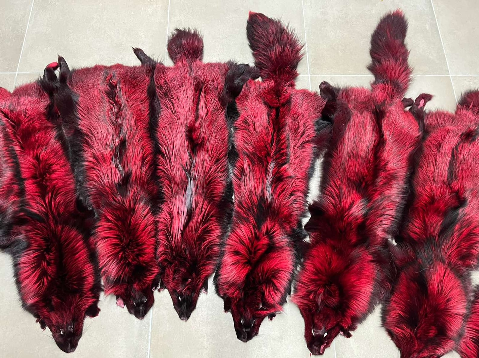 Dyed Red Silver Fox Fur Skins/pelts, Fur Hood, Fur Collar - Etsy