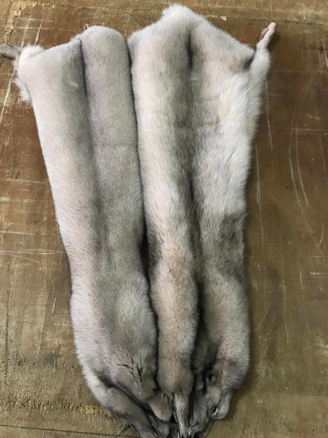 Dyed Tan Color Fur Fox Skins/pelts, Fur Garments - Etsy