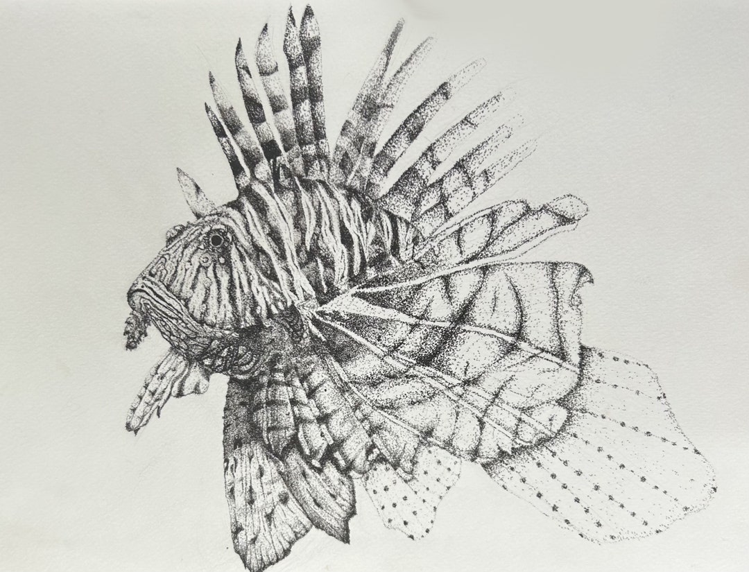 Printable DIGITAL ART PRINT!!! - Hand Drawn Lionfish!!! - Etsy