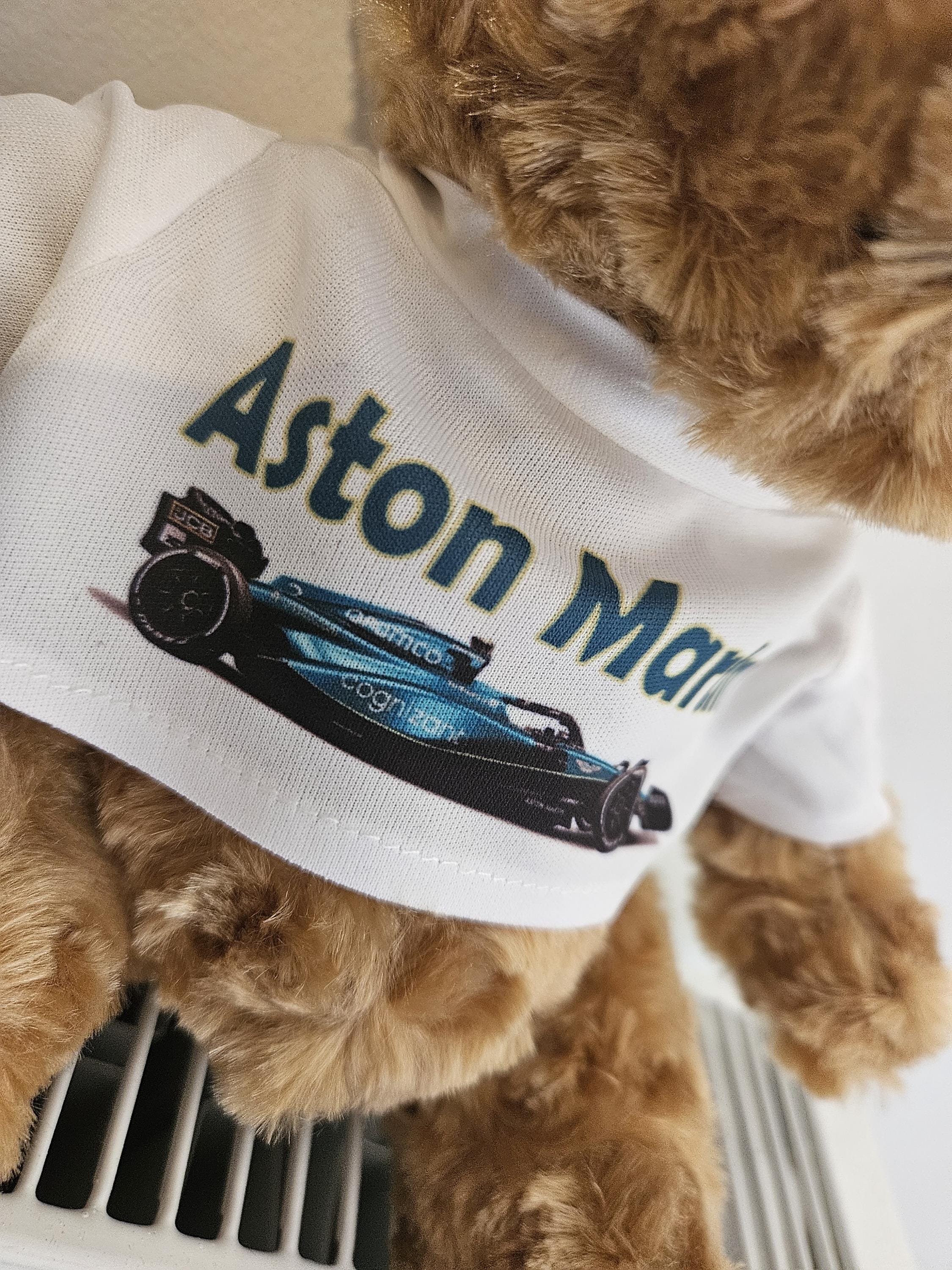 F1 - Formula One - Teddy Bear - Mclaren - Mercedes- Ferrari- Aston ...