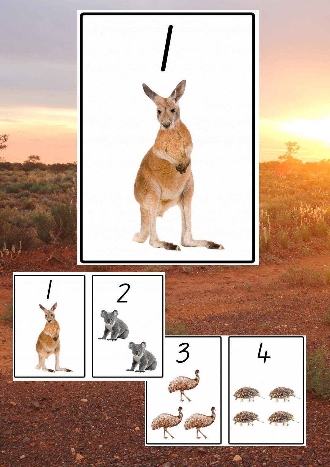 Australian Animals Numeral Cards 0 - 10 - Etsy