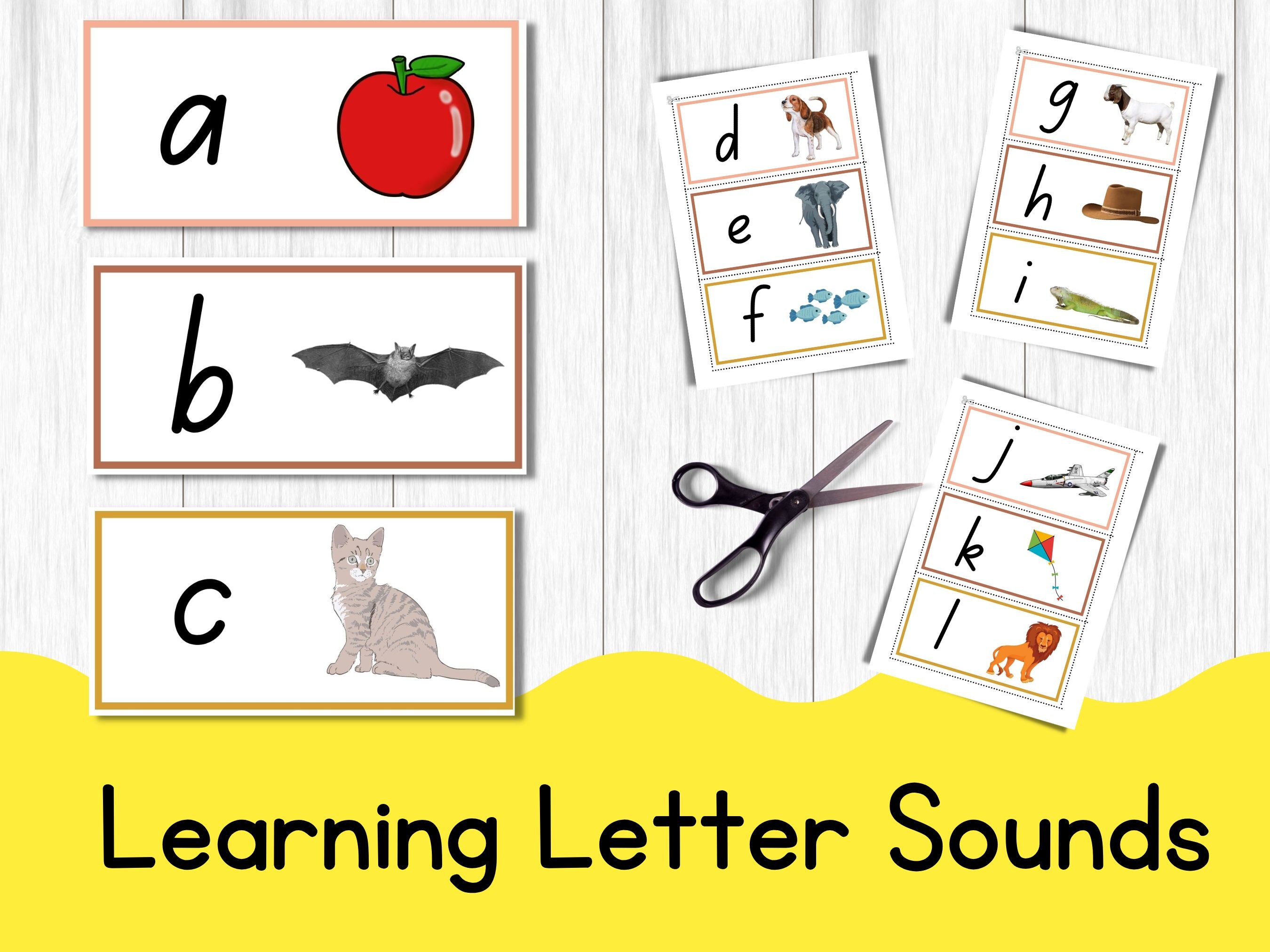Manuscript Font Letter Sound Cards, Letter Sounds, Alphabet Letter ...