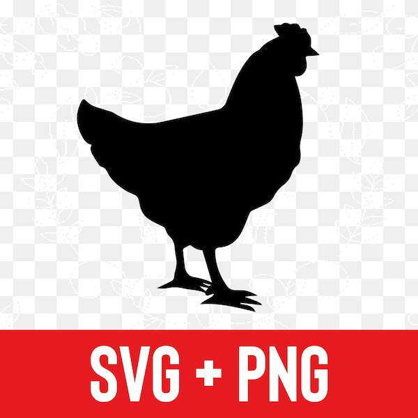 Chicken Svg - Etsy