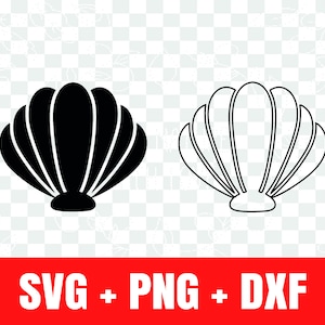 Shell Svg - Etsy